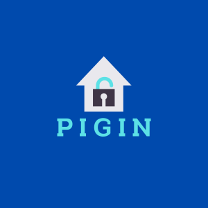 home - PIGIN Videosorveglianza Antintrusione